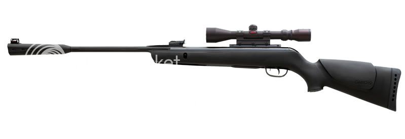 air rifle recommendation? - AR15.COM