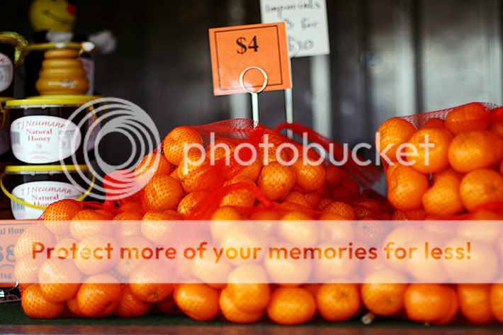 Orange Farm @ Swan Valley, Perth WA | Singapore Food Blog - Melicacy