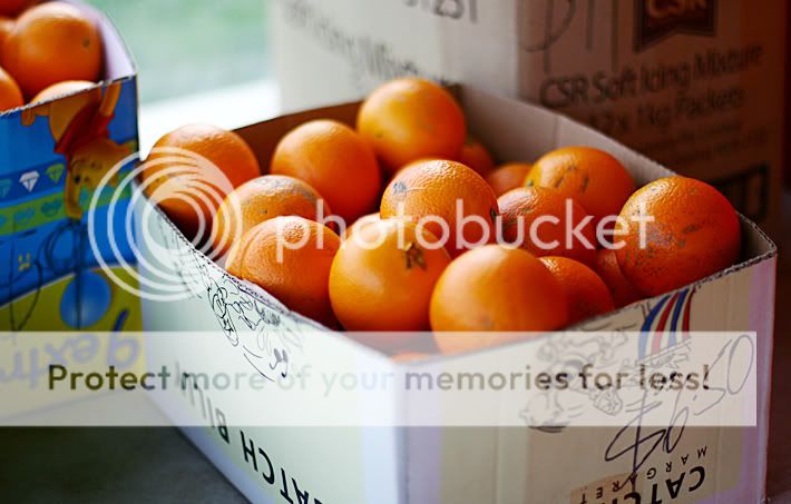 Orange Farm @ Swan Valley, Perth WA | Singapore Food Blog - Melicacy