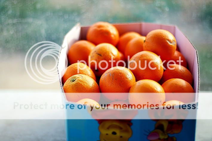 Orange Farm @ Swan Valley, Perth WA | Singapore Food Blog - Melicacy