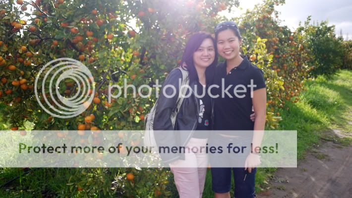 Orange Farm @ Swan Valley, Perth WA | Singapore Food Blog - Melicacy