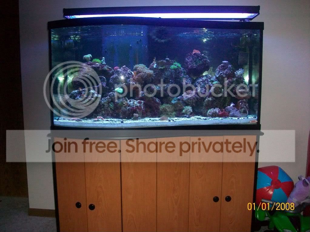 FS: 95 Gallon Wave Tank | Reef2Reef